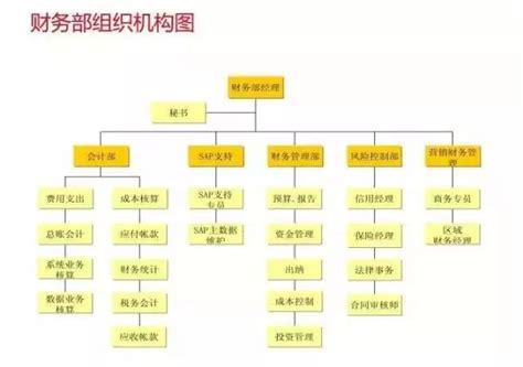 史上最强财务部组织结构设计图 ，一定要留一份~ 搜狐大视野 搜狐新闻