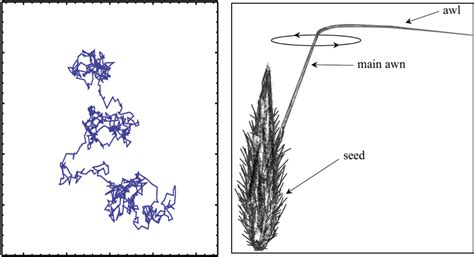 Sci一区顶级优化：不实野燕麦优化算法，完整代码分享（matlab源码）不实野燕麦算法 Csdn博客
