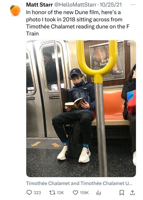 The Infamous Timothée Chalamet Reading Dune Subway Photo