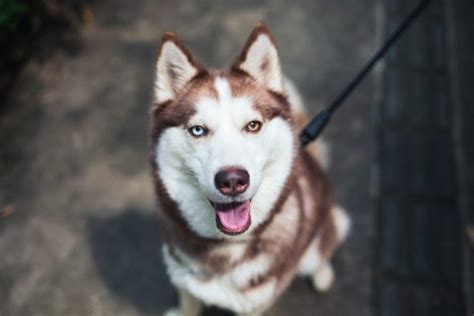 Parque De La Conservación Banco2