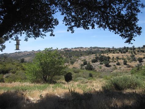 3993 Lazy Jays Way Julian Ca 92036 Mls 140032472 Redfin