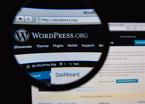 Wordpress Exploit Leaves Millions Vulnerable Digital Trends