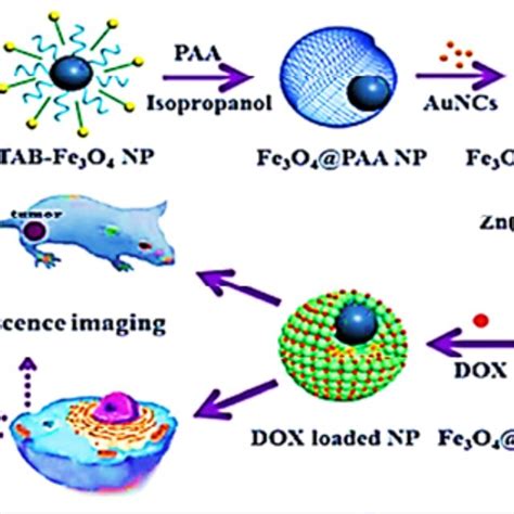 Pdf Zinc Based Metal Organic Frameworks Synthesis And Recent Progress In Biomedical Application