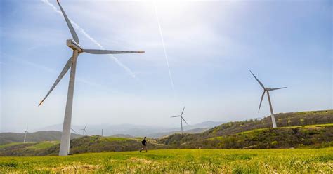 한반도의 등줄기 위를 성큼성큼 걷는다 초록 융단과 야생화 천국을 지나 하늘까지