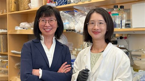 Modeling R Loop Therapy For Fragile X Syndrome In Patient Derived Brain