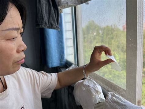 物业服务中心公寓部为学生义务更换破损窗纱暖心活动 已坚持六年 后勤管理处