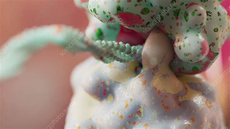 Ribosome Reading Messenger Rna Animation Stock Video Clip K014