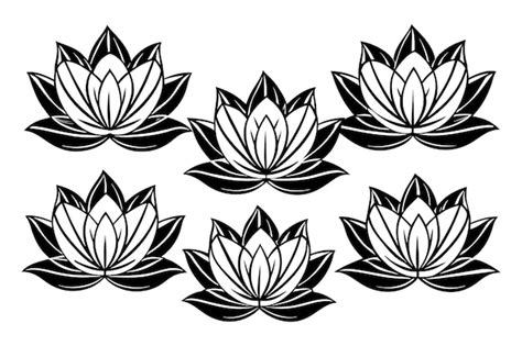 Un Conjunto De Flores De Loto Negras Y Blancas Con Un Fondo Blanco