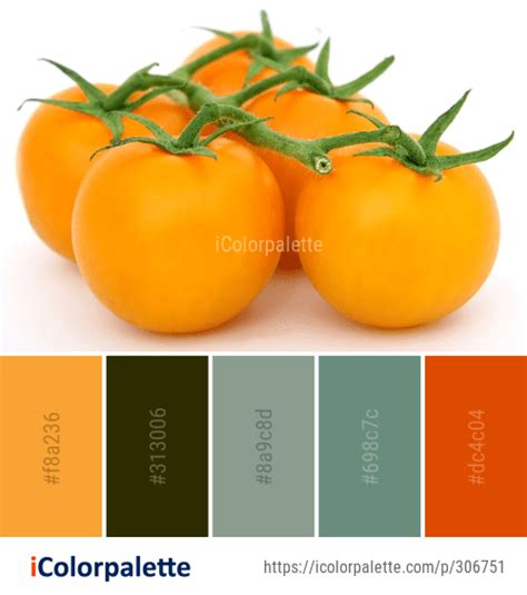 29 Tomato Color Palette Ideas In 2023 Icolorpalette
