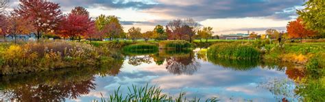 Circuit Clerk Jackson County Il