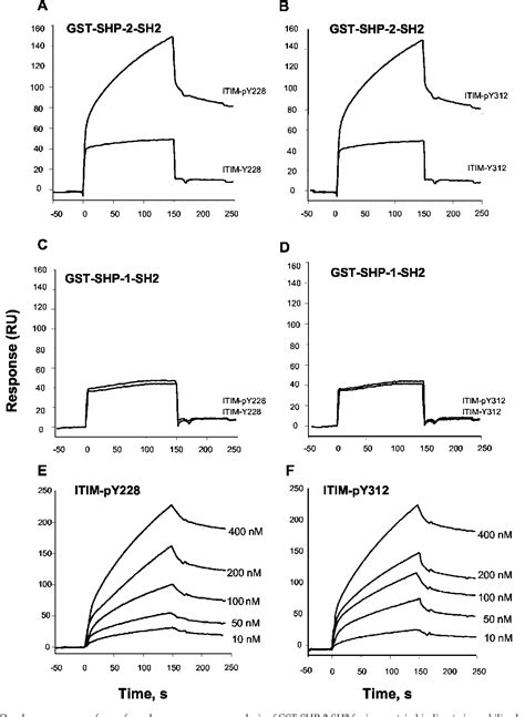 Figure 2 From Critical Role Of Src And Shp 2 In Sst2 Somatostatin