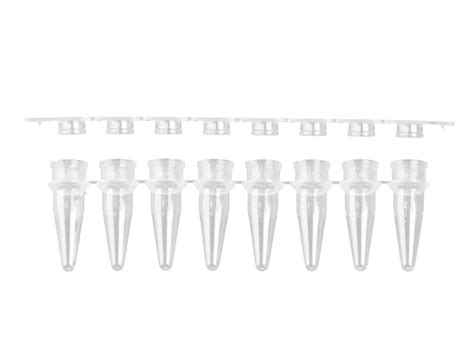Axygen 0 2 ML Polypropylene PCR Tube Strips And Flat Cap Strips 8