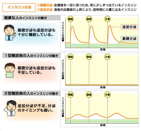 糖尿病の治療薬－第7回 インスリン療法－その2｜糖尿病特集サイト メディマグ