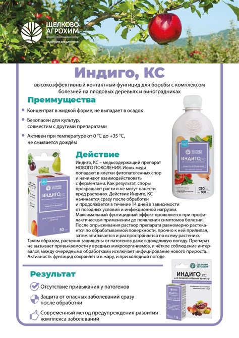Препарат Индиго, КС флакон для овощных культур 250 мл/500 м2 купить по ...