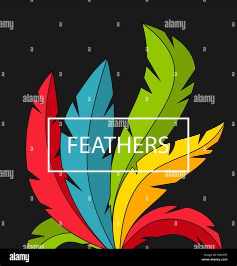 Illustration Creative Background With Colorful Feathers Vector Stock