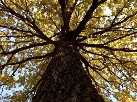 Affirmative Cbt — The Transformation Project
