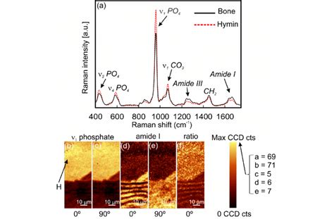 Typical Raman Spectra A And Mapping Images B F Obtained From