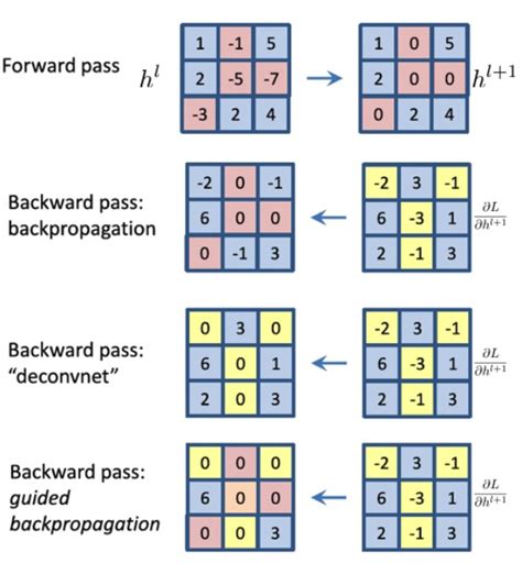 How Relu Works And Whats Guided Backprop Haigang Liu Albert Data Science Blog