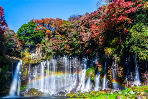 白糸の滝日本の滝百選静岡県富士宮市