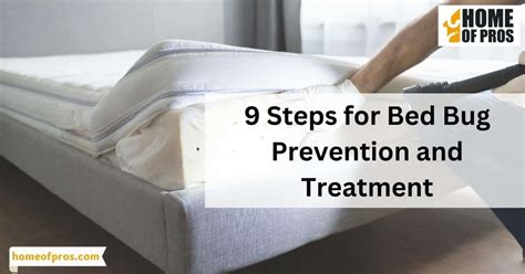 9 Steps For Bed Bug Prevention And Treatment Home Of Pros