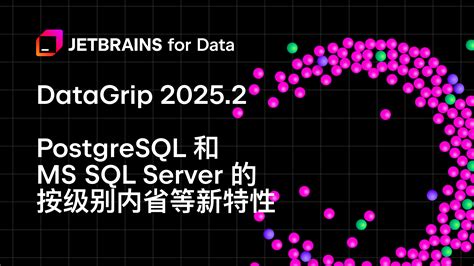 Datagrip 20252：ai 聊天中的数据库对象上下文、postgresql 和 Ms Sql Server 的按级别内省等