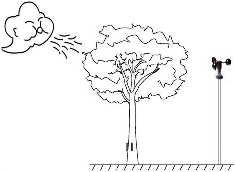 Tree Wind Load Measurement Method Eureka Patsnap