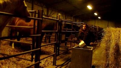Douche Chevaux Baignoire Balnéothérapie