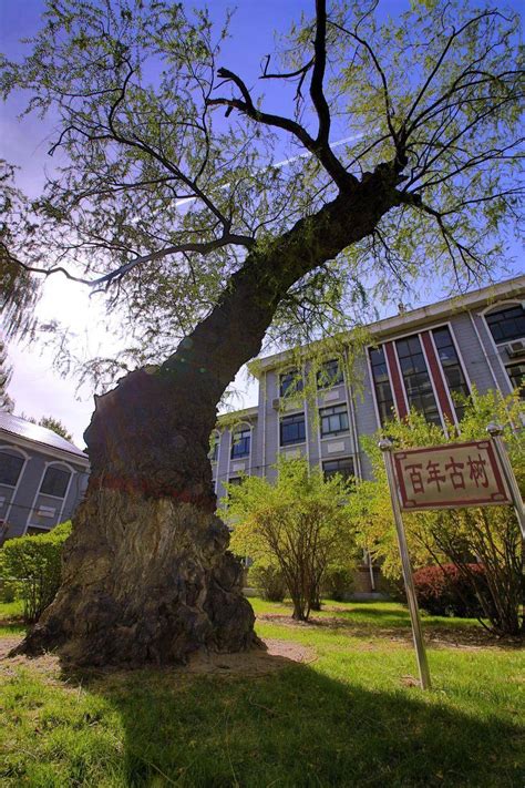 太原科技大学前身是太原重型机械学院3博18硕 工程 技术 自动化