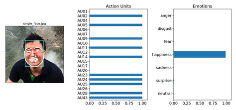 Anything Wrong With The Svm Model Of Au Detector In V Issue Cosanlab Py Feat Github