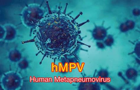 Amid Hmpv Worry Lockdown Trends Government Says No Need To Panic
