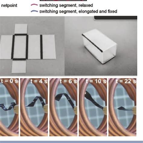 Examples Of Shape Morphing Hydrogels A The Top Images Show 3d