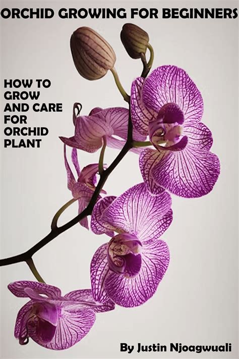 Orchids Growing For Beginners Ebook De Justin Njoagwuali Epub Livro