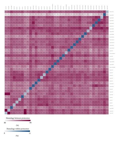 Whole Genomeproteome Pairwise Alignment And Comparative Analysis The
