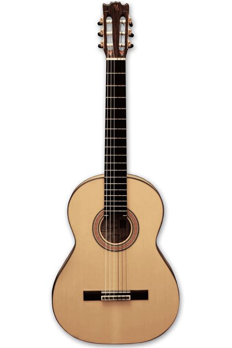 Que Es La Guitarra Bourque