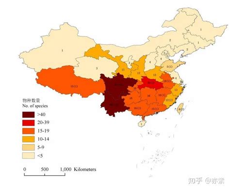 鼠年说鼠花 知乎