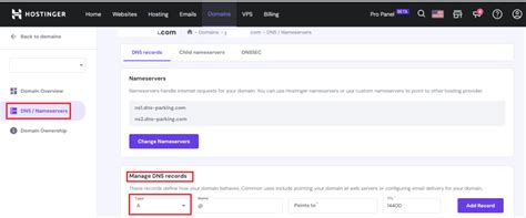 How To Add “txt Record” In Hostinger Digital Farhan Bajrai