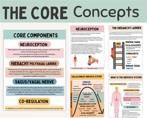 Polyvagal Theory Cheat Sheet Nervous System Regulation Workbook