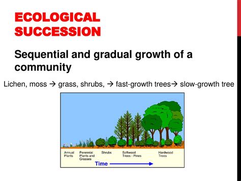 Notes Succession Pp Ppt Download