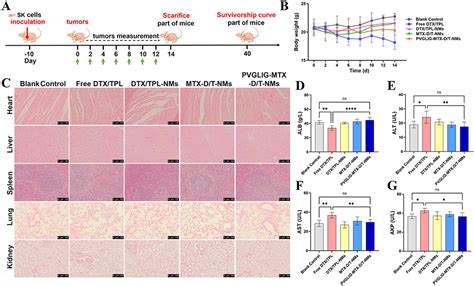 Sequential Targeting Of Tumor Microenvironment Responsive Nanomicelles