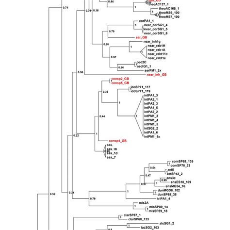 Topology Inferred By Bayesian Inference Including Coi Sequences Of 48