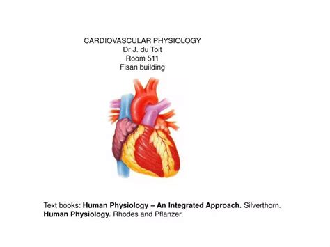 Ppt Cardiovascular Physiology Dr J Du Toit Room 511 Fisan Building