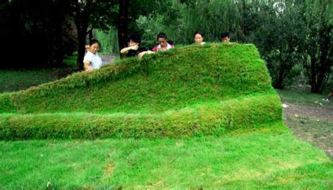 Floating Green A Grassy Bench