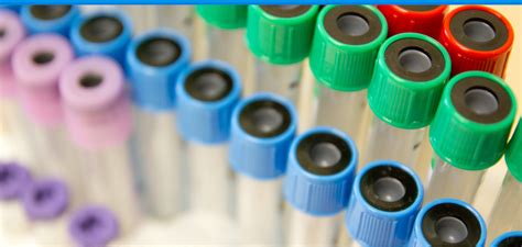 Vet Biological Variation