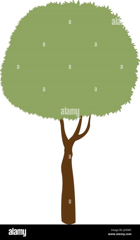 Green Tree Leaf Stem Trunk Image Stock Vector Image Art Alamy