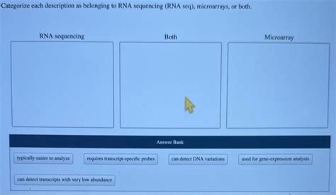 Categorize Each Description As Belonging To RNA Chegg
