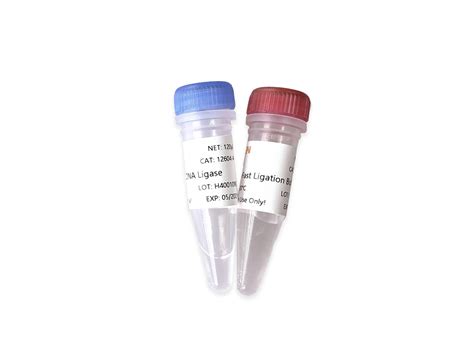 快速dna连接模块 Ngs建库模块dna Ligation Module