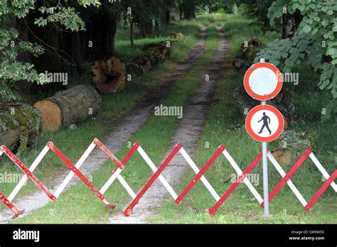 Blocking A Path Among Trees Stock Photo Alamy