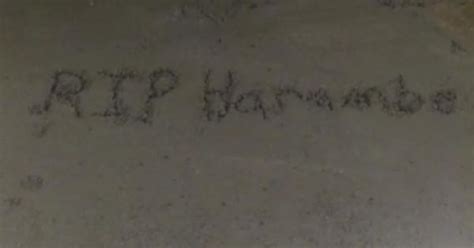 Rip Harambe Album On Imgur