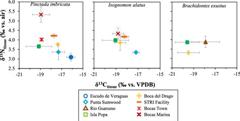 Location Averages For Muscle And Mantle Tissue δ 15 N Versus δ 13 C For Download Scientific