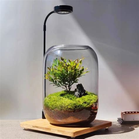 Sarufo Glass Plant Terrarium With Led Light Desktop Display Air Plants